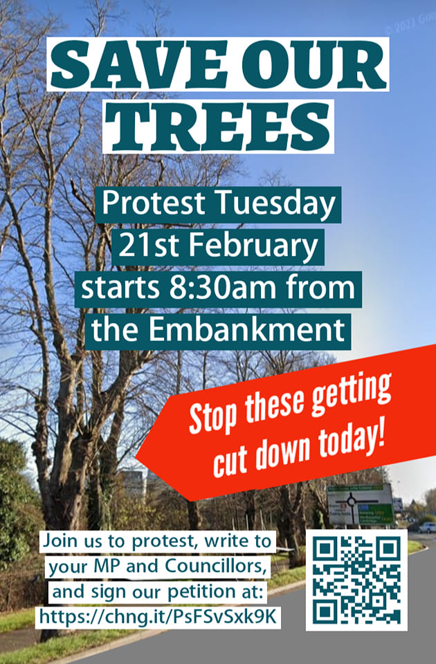 SAVE OUR TREES, Keep stopping the chop… – Save Our Trees